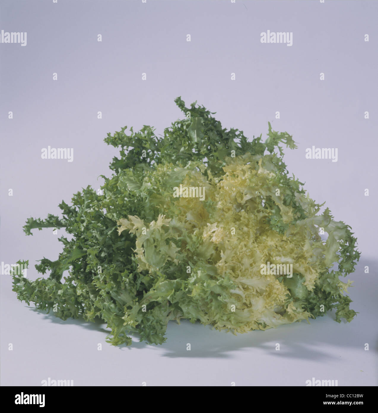 Cut out: Frisee lettuce Stock Photo - Alamy