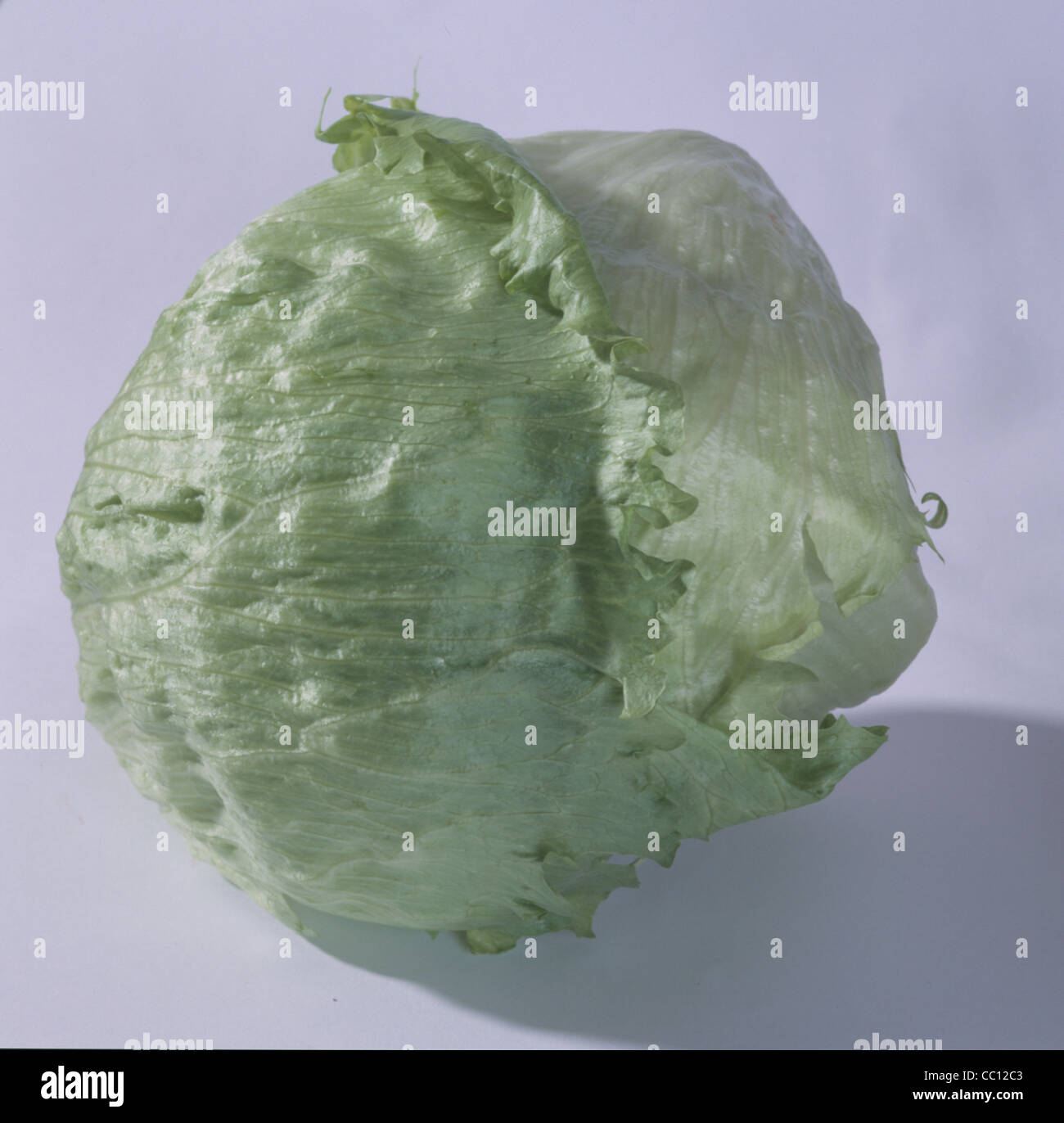 Cut out: Iceberg lettuce Stock Photo - Alamy