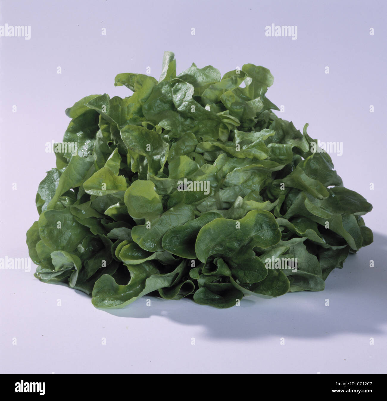 Cut salad hi-res stock photography and images - Alamy