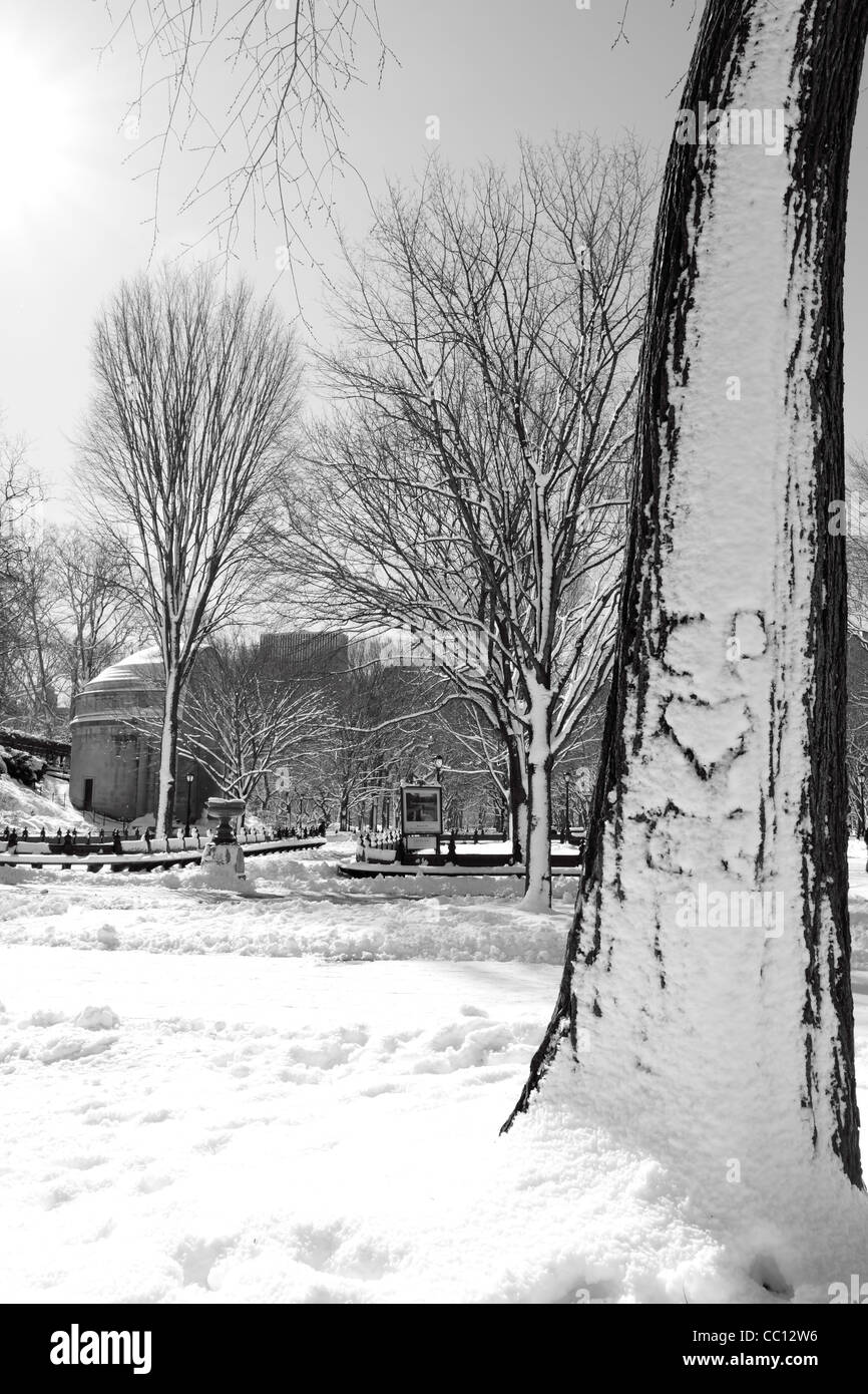 Winter Snow in Central Park, Manhattan, New York City Stock Photo - Alamy