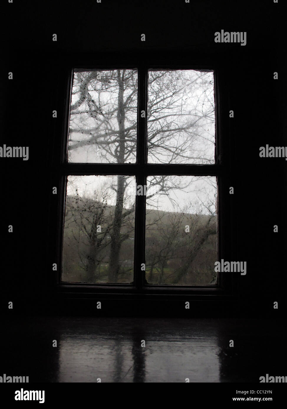 woods seen from small house in window in north wales Stock Photo - Alamy