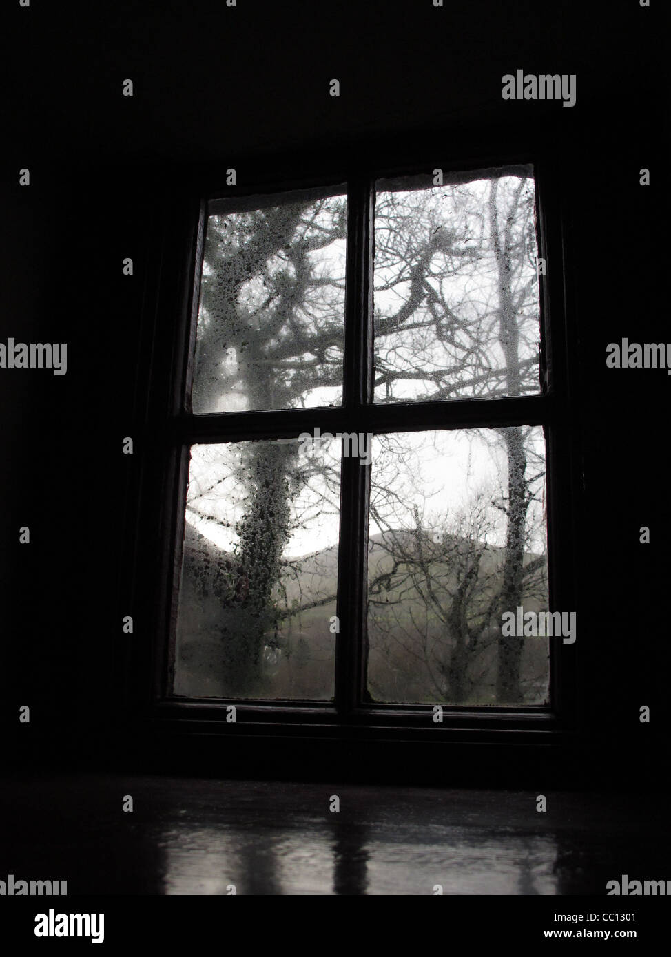woods seen from small house in window in north wales Stock Photo - Alamy