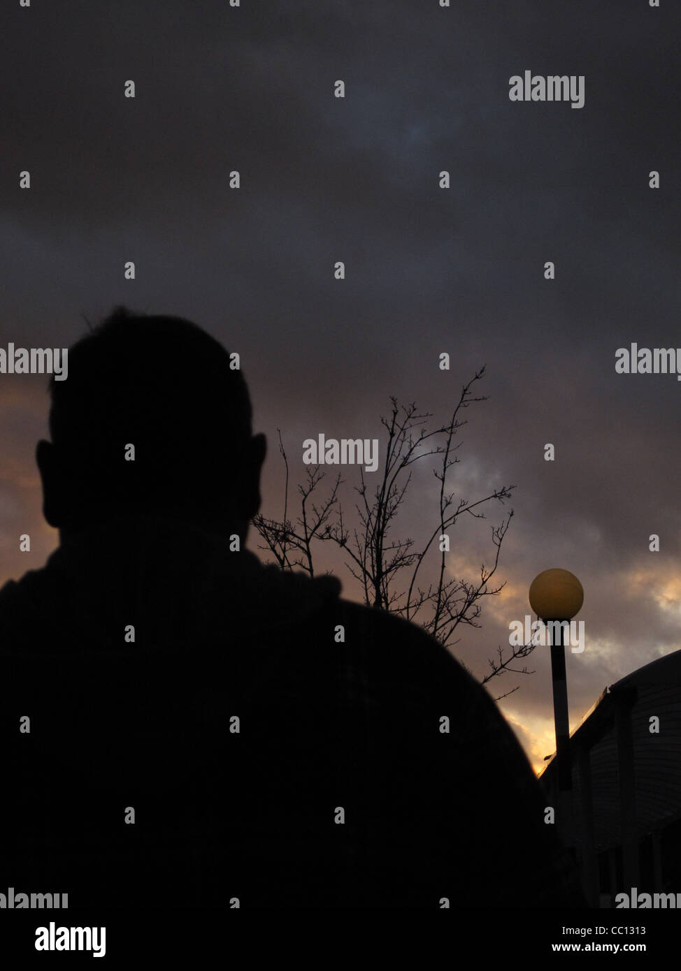man with trees at night Stock Photo - Alamy
