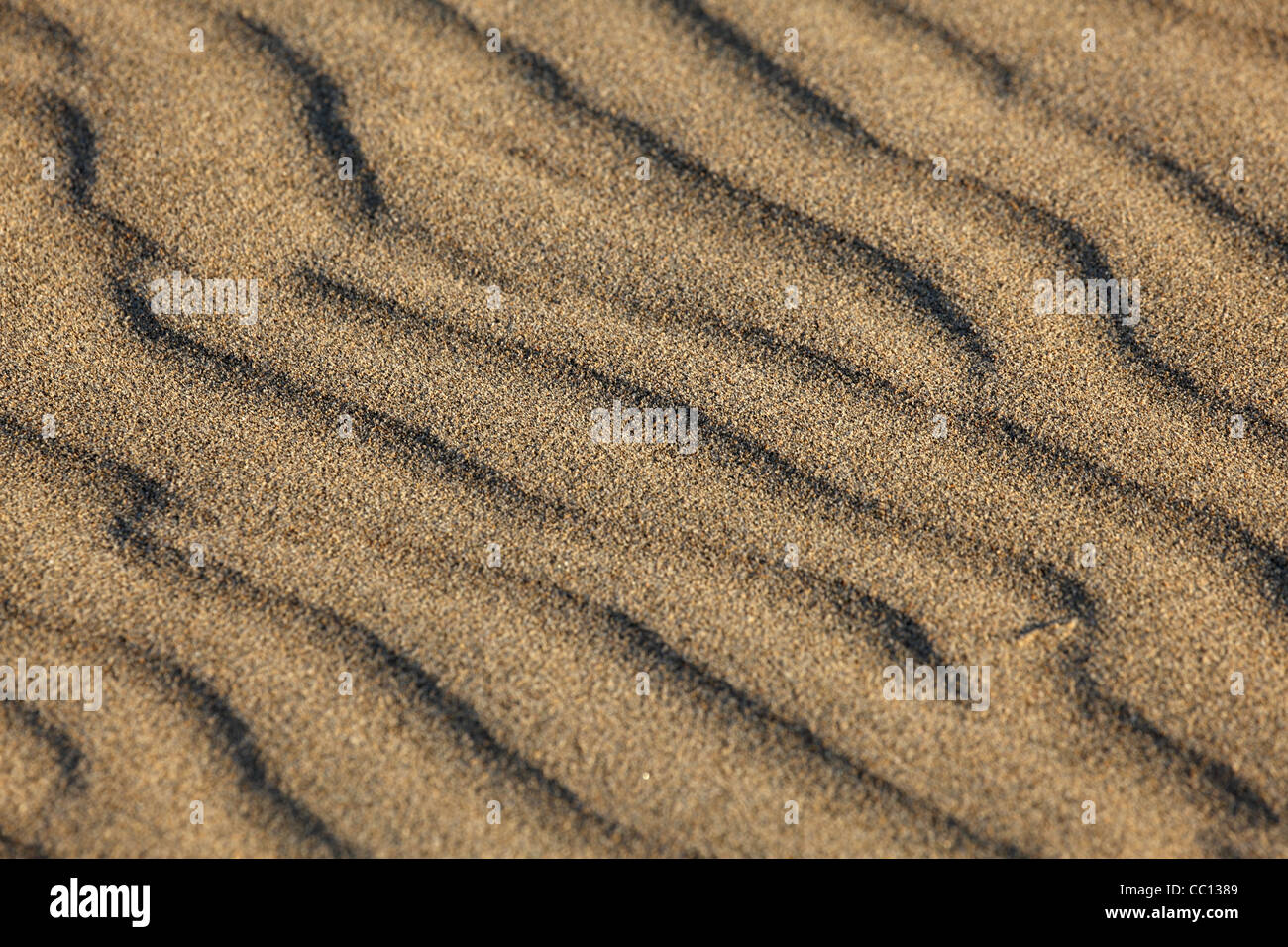 Pattern in the beach sand, Canary Island Fuerteventura Stock Photo - Alamy