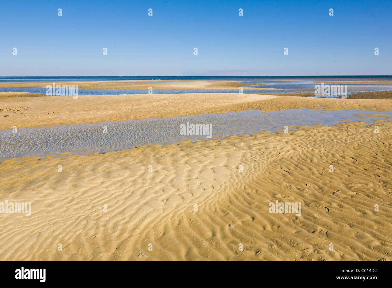 Ripples in sand at Bold Point State Park Florida on the Gulf of Mexico ...