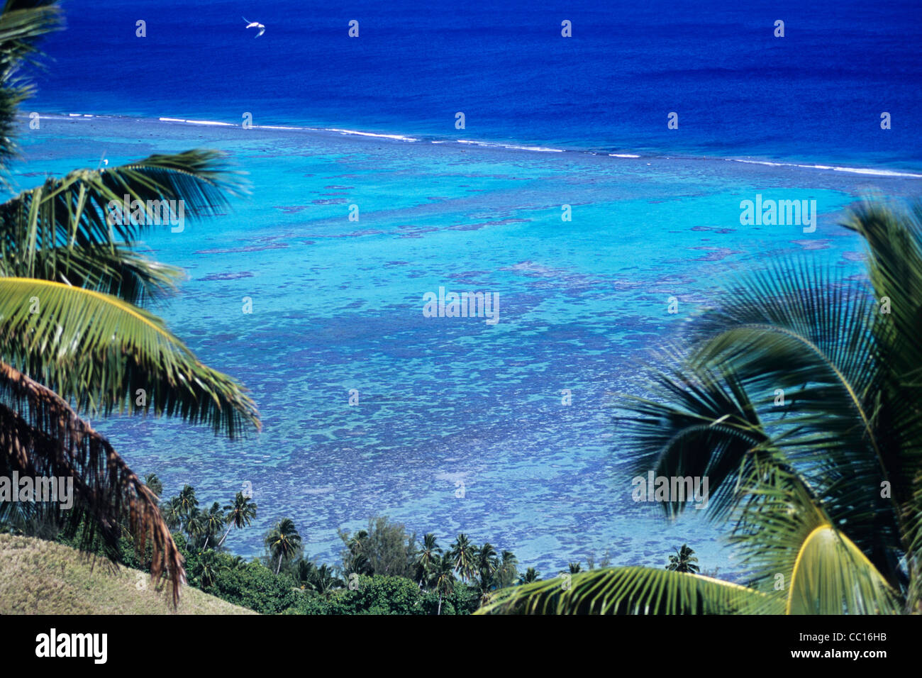 Cook; Islands; Kūki 'Āirani; maori; atolls; Pacific; south; coral ...