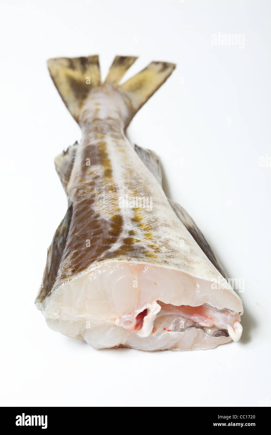 Raw cod fish fillets in kitchen on white background Stock Photo - Alamy