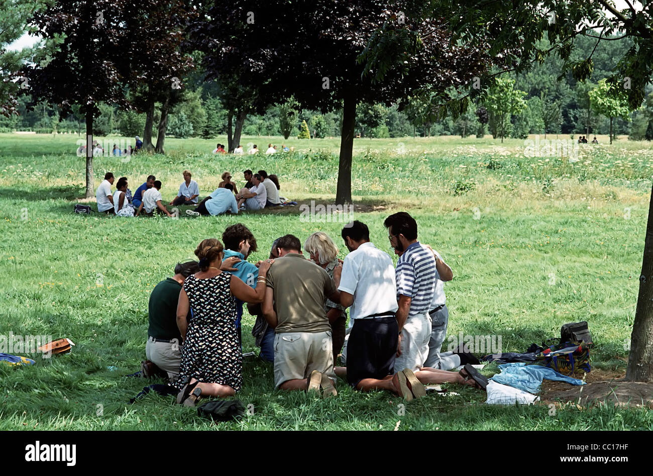 Catholic Prayer Tree
