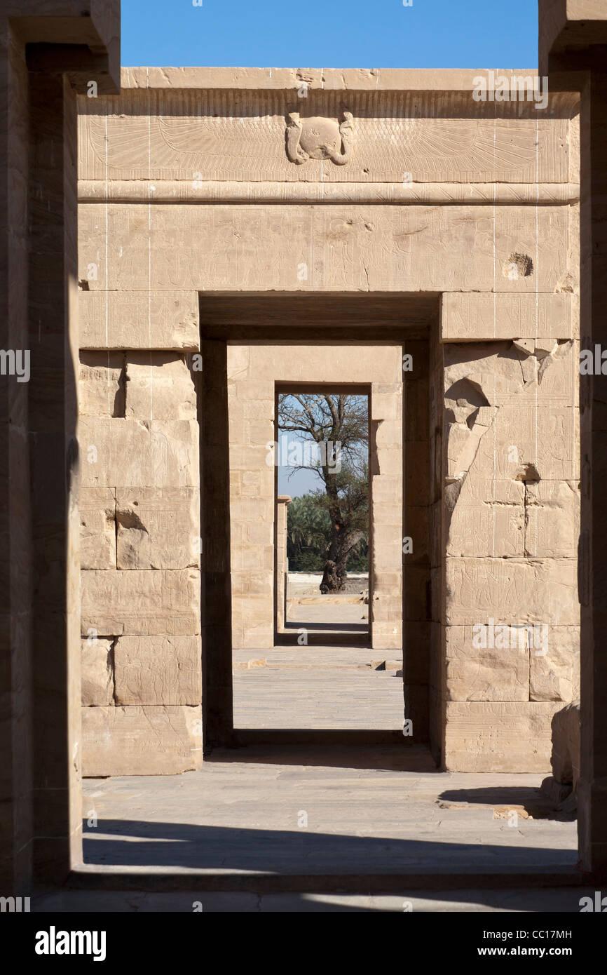 Vertical shot of the gateway at Hibis Temple, the ancient capital of ...