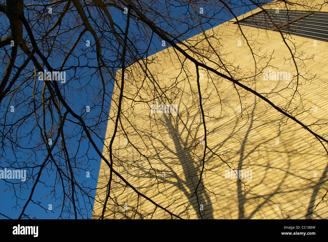 TREE AND BRICK WALL Stock Photo - Alamy