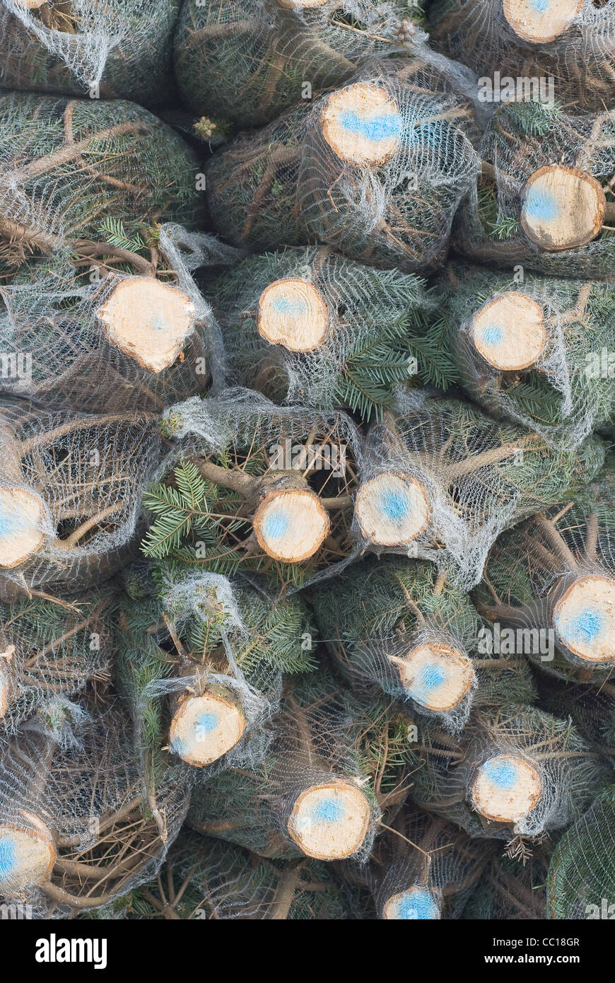 Tradition christmas market hi-res stock photography and images - Alamy