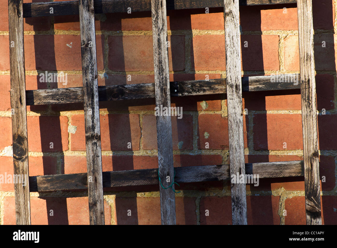 Trellis wall hi-res stock photography and images - Alamy