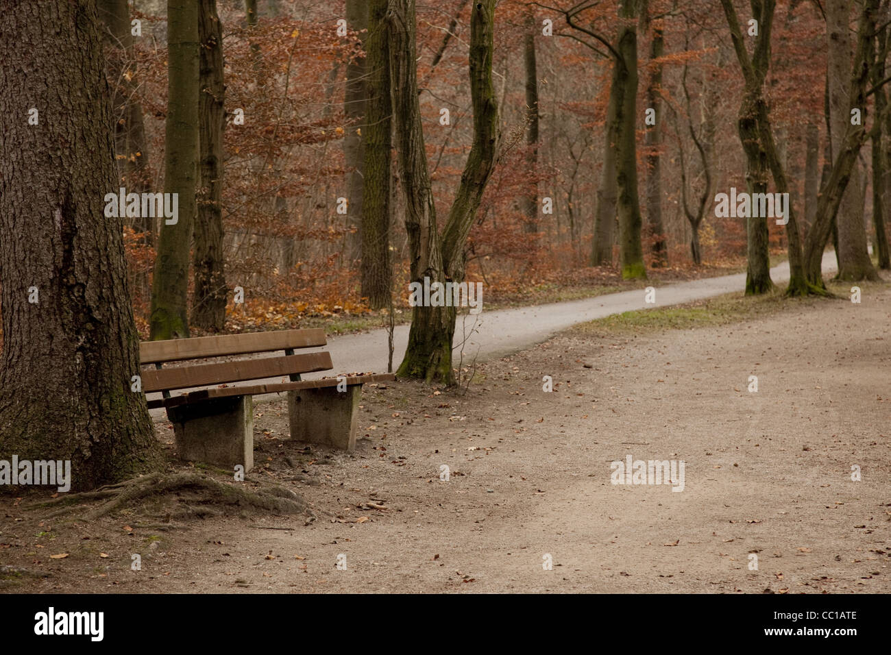 A horizontal image along a walking/biking path along the river. A bench ...