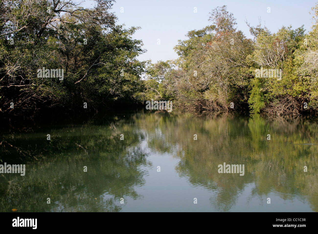 Kafubu River, Democratic Republic of Congo Stock Photo - Alamy