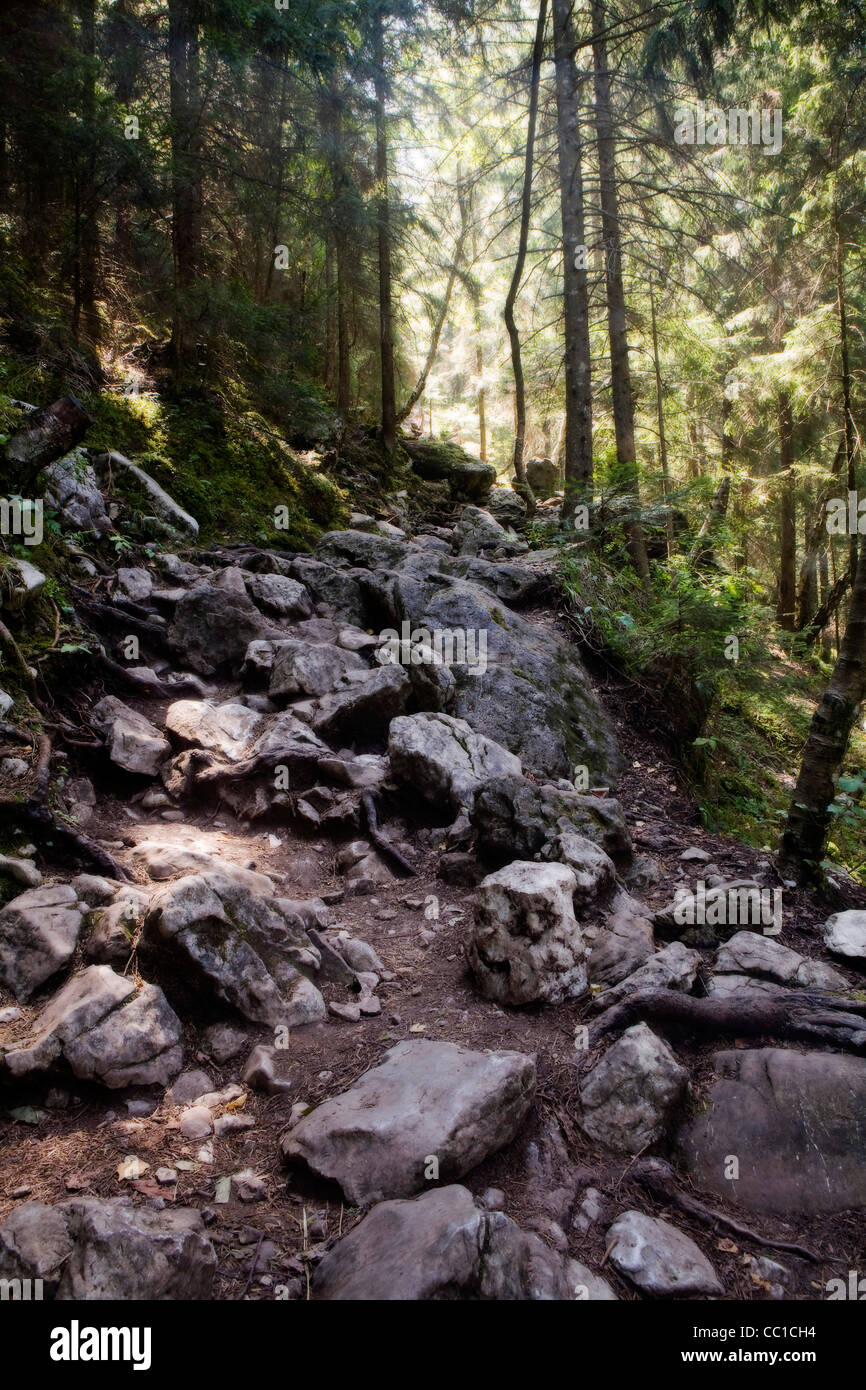 Pathway blocked hi-res stock photography and images - Alamy