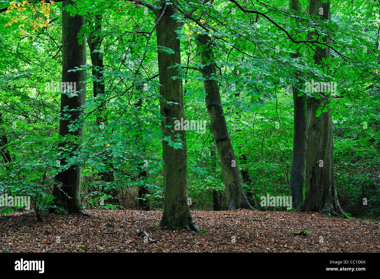 Slough uk view hi-res stock photography and images - Alamy