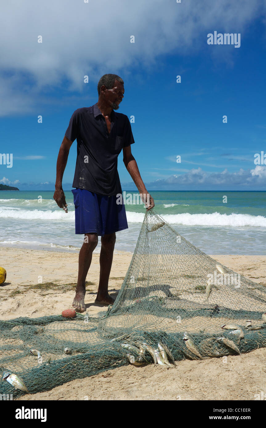 Seychelles Fish Beach High Resolution Stock Photography and Images - Alamy