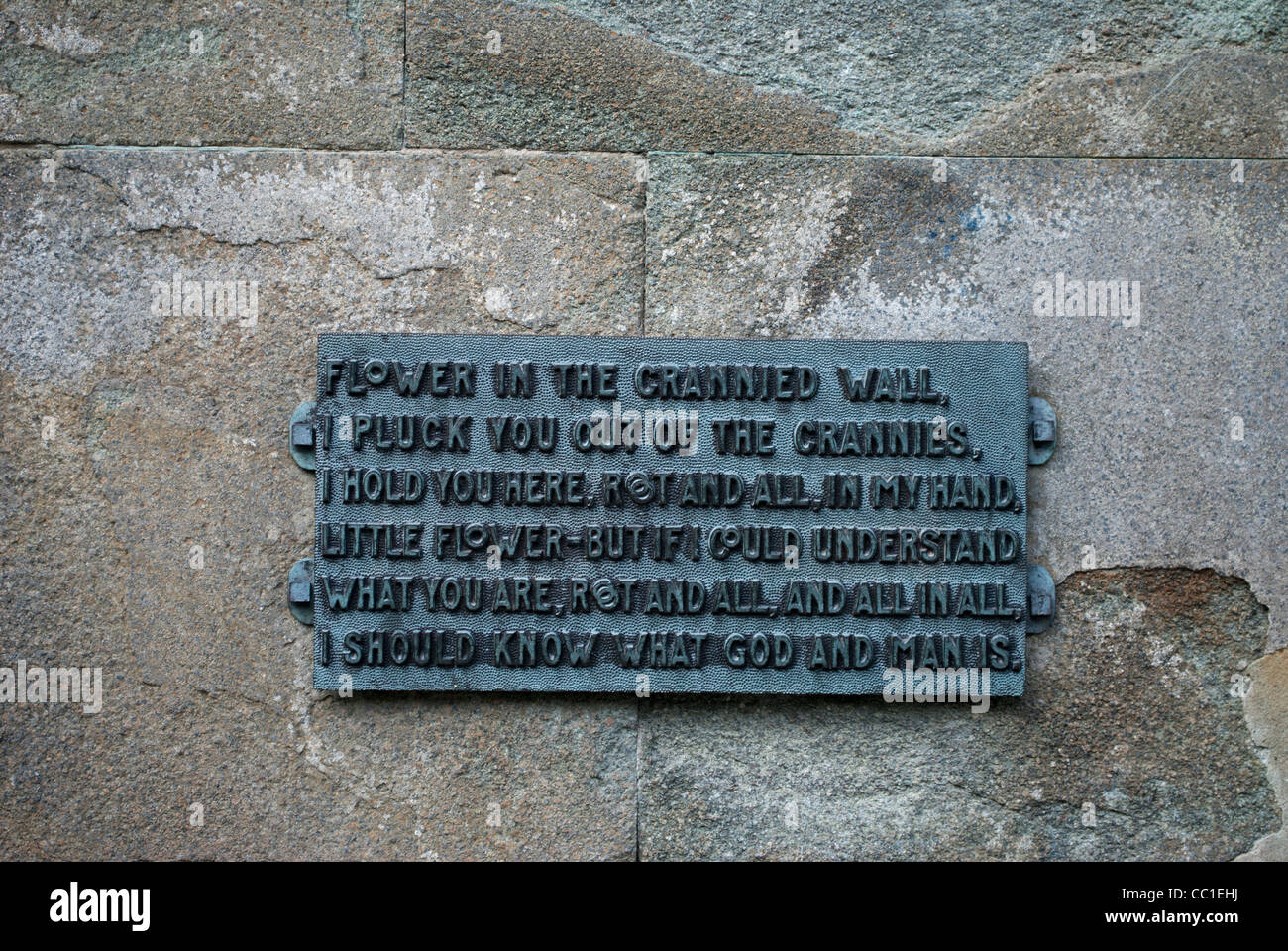 Plaque on stone plinth for the statue of the poet Alfred, Lord Tennyson ...