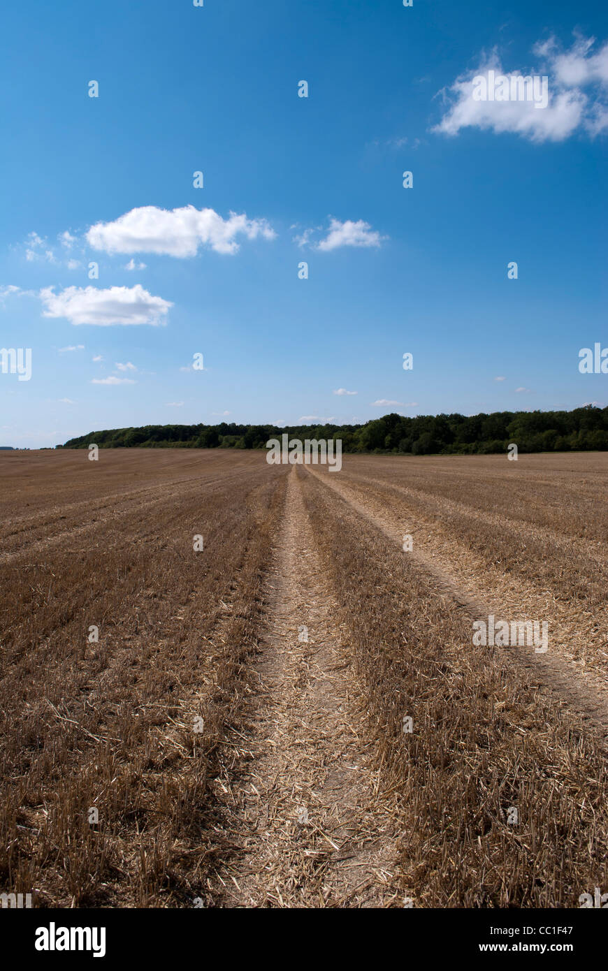 Tractor marks extending across bare cropped field to trees on the ...