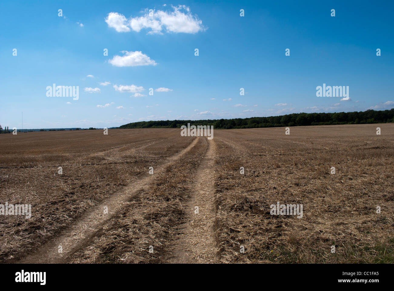 Tractor marks extending across bare cropped field to trees on the ...