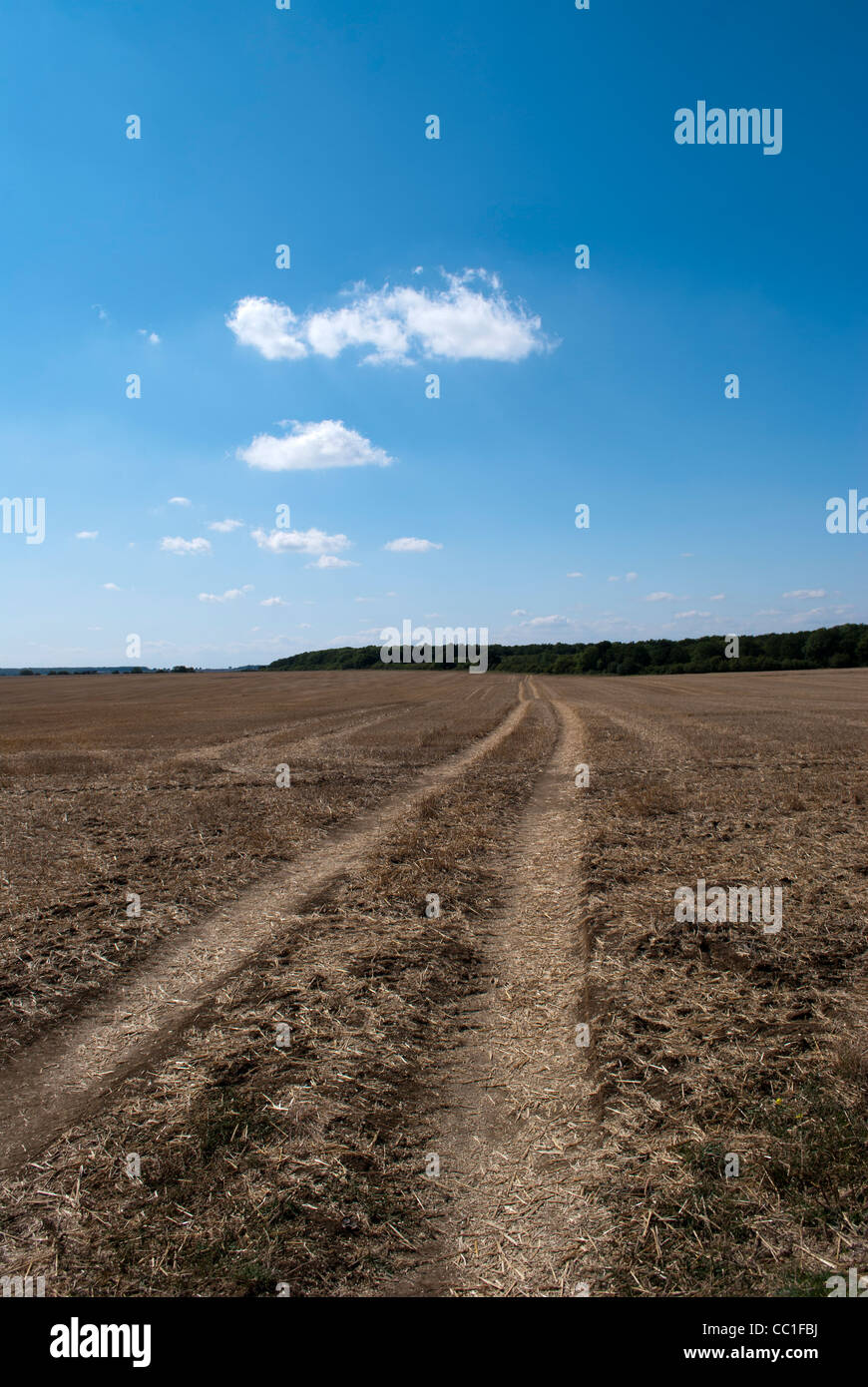 Tractor marks extending across bare cropped field to trees on the ...