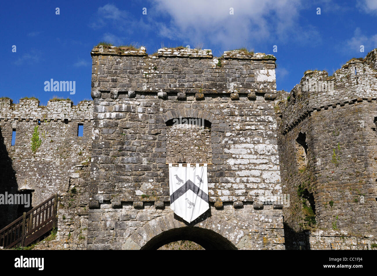 Carew arms hi-res stock photography and images - Alamy