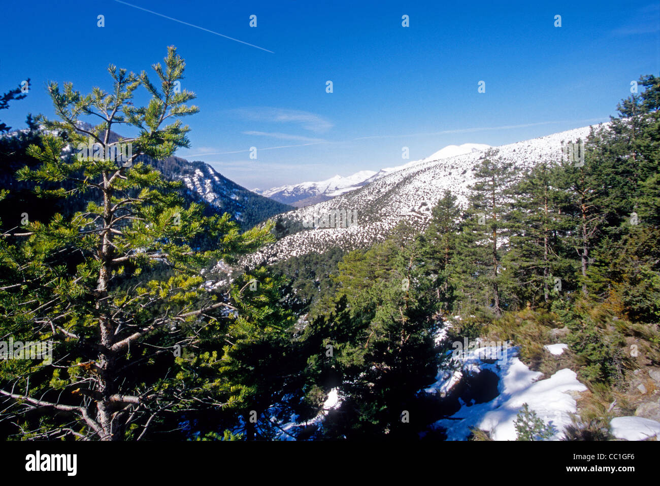 Landscape of southern alps Stock Photo - Alamy