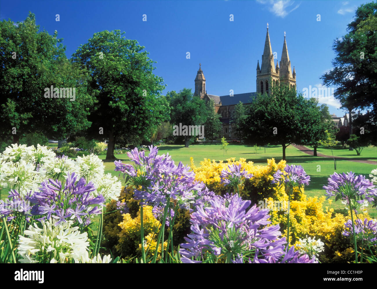 St Peter's anglican cathedral Adelaide South Australia Stock Photo - Alamy