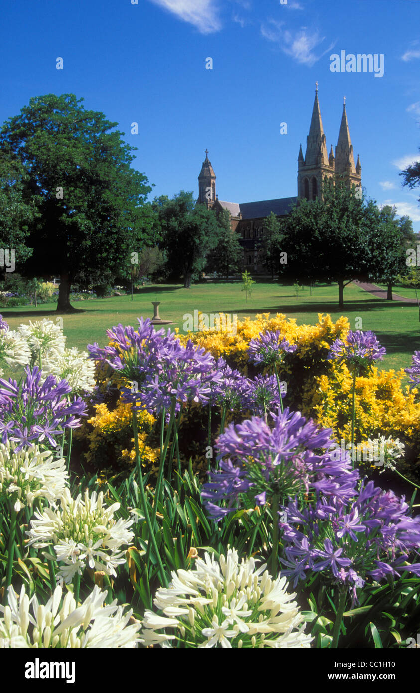 St peters cathedral adelaide hi-res stock photography and images - Alamy