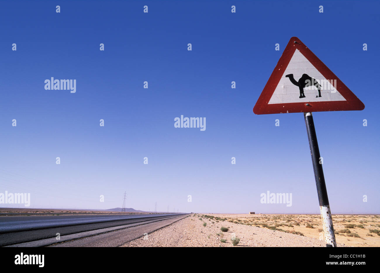 Camel warning sign in the desert on the Kings Highway near Amman Jordan ...