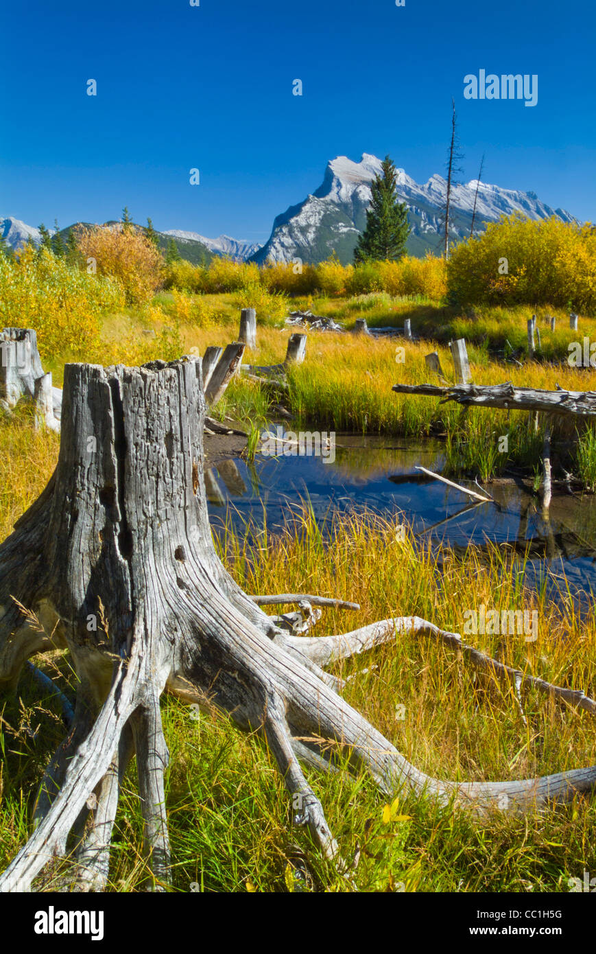 Mount Rundle overlooking Banff township seen from the shore of ...
