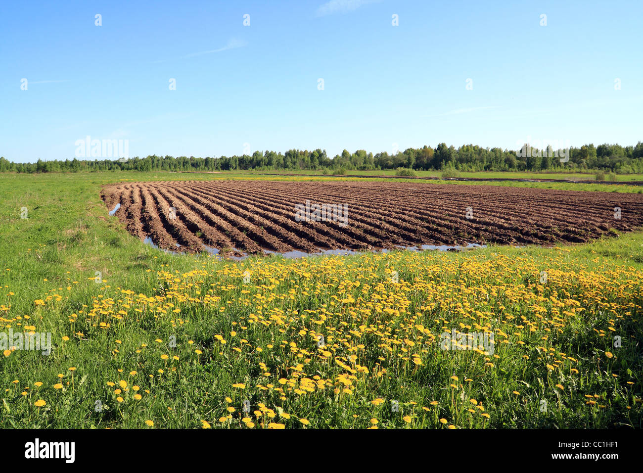 Plow field hi-res stock photography and images - Alamy