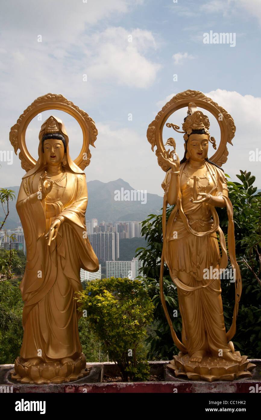 Golden statues of female Buddhas with view Hong Kong Ten Thousand ...