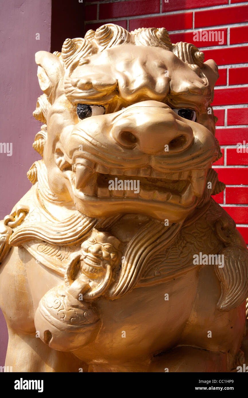 Fat Lion High Resolution Stock Photography and Images - Alamy