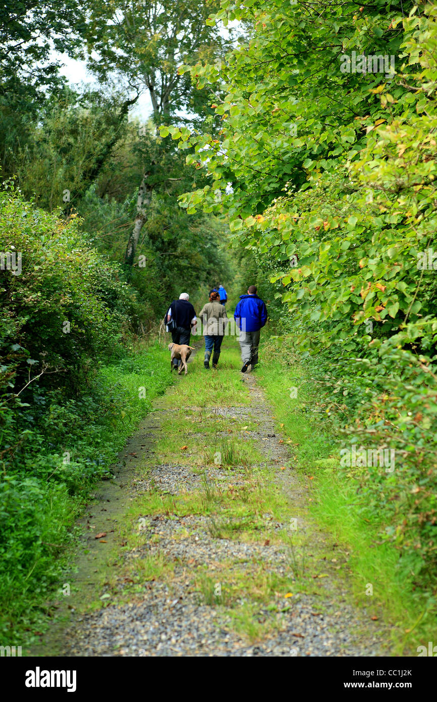 Country walking ireland hi-res stock photography and images - Alamy