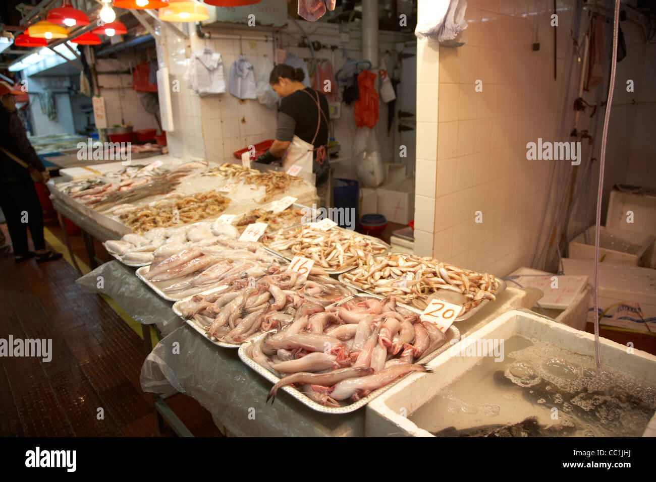 fresh fish and seafood for sale on a stall in yau ma tei indoor food ...