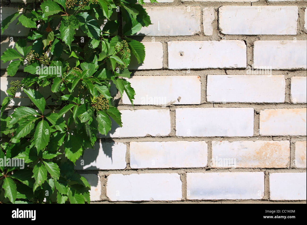 Grape brick hi-res stock photography and images - Alamy