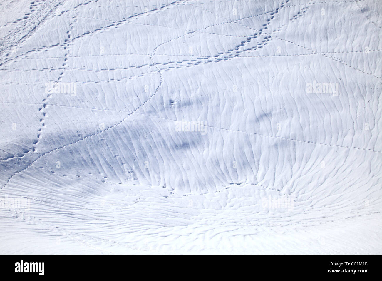 One foot of snow hi-res stock photography and images - Alamy