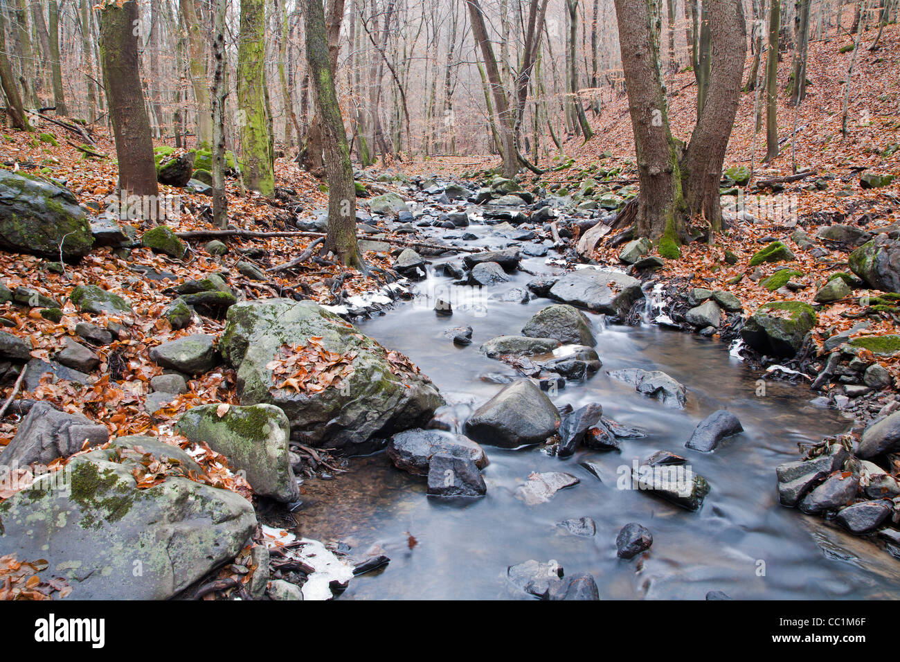 Forest landscape in fall hi-res stock photography and images - Alamy
