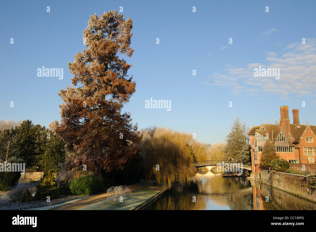 Education trinity hi-res stock photography and images - Alamy