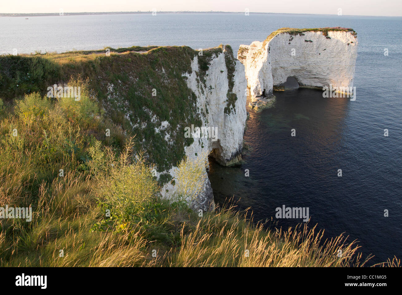 Old Harry Rocks. Massive chalk stacks standing just off the vertiginous ...
