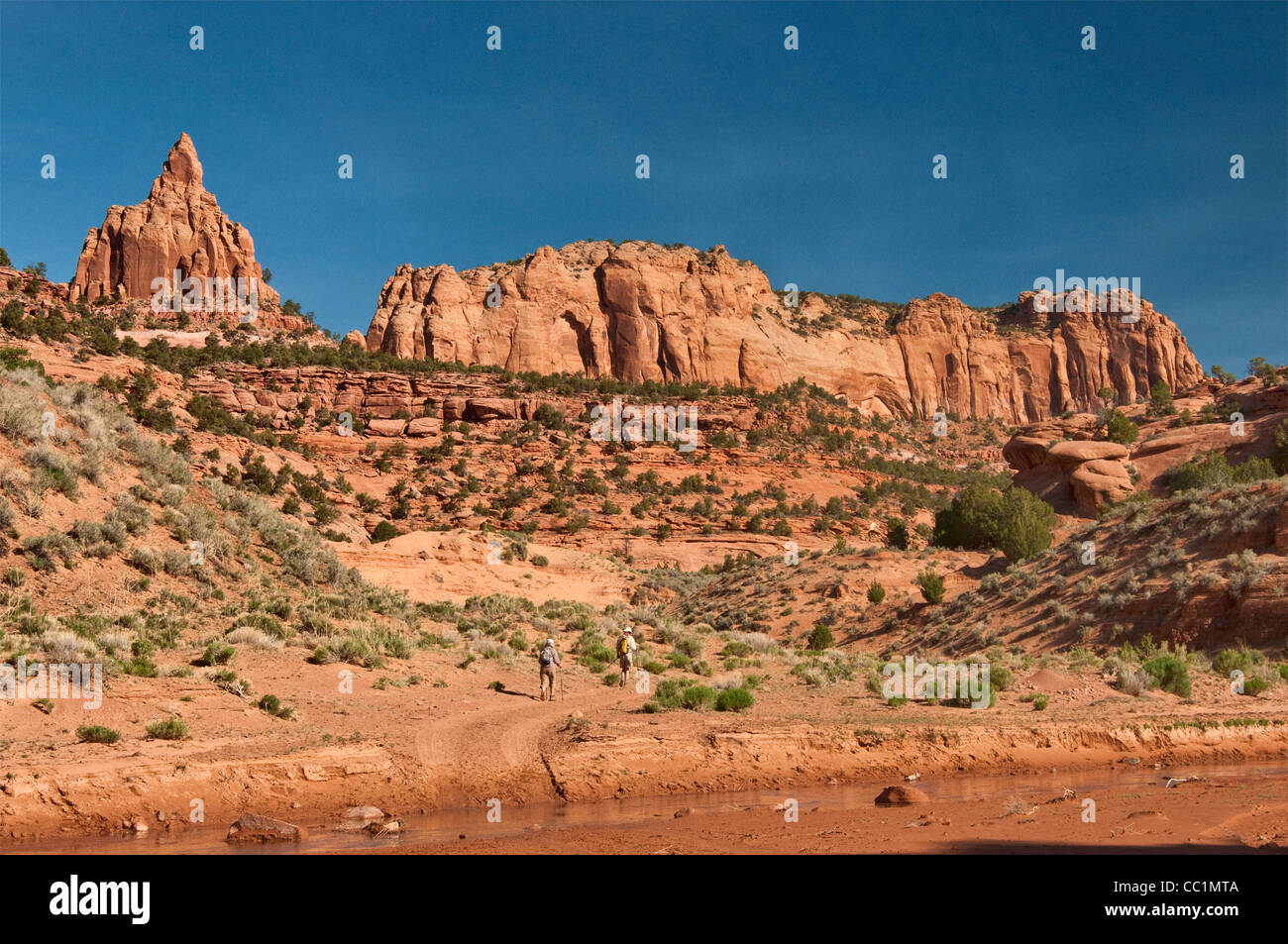 Hikers on trail to Keet Seel ruins, Keet Seel Canyon in Skeleton Mesa ...