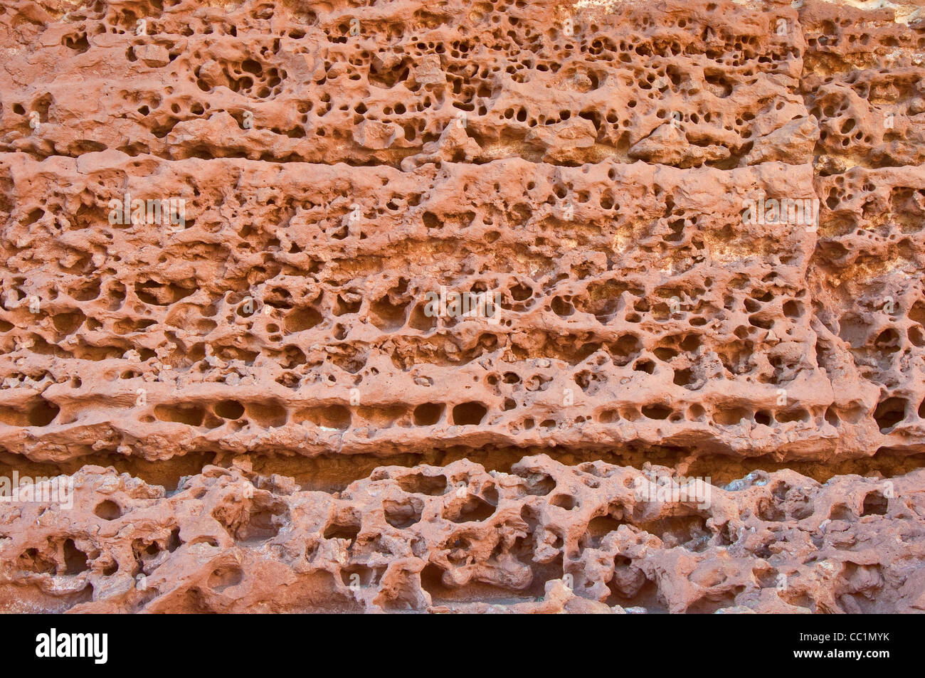 Details of canyon wall at Cathedral Canyon near Lees Ferry, Vermilion ...