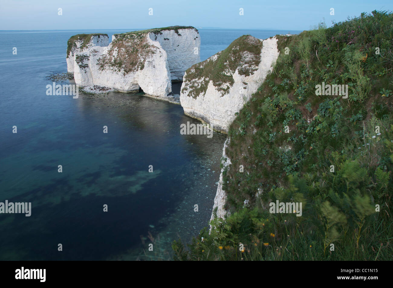 Old Harry Rocks. Massive chalk stacks standing just off the vertiginous ...