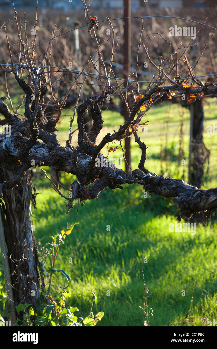 Ukiah california hi-res stock photography and images - Alamy