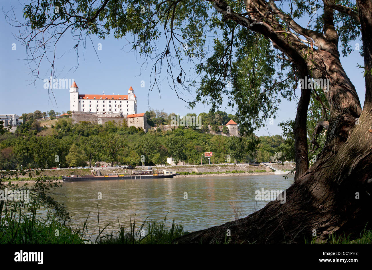 Riverside riverside riverside riverside tree hi-res stock photography ...