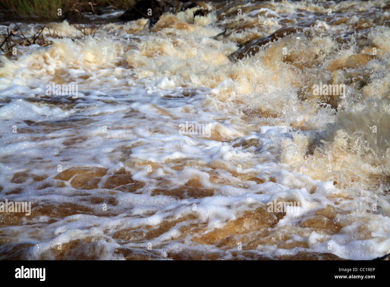 spume on water Stock Photo - Alamy