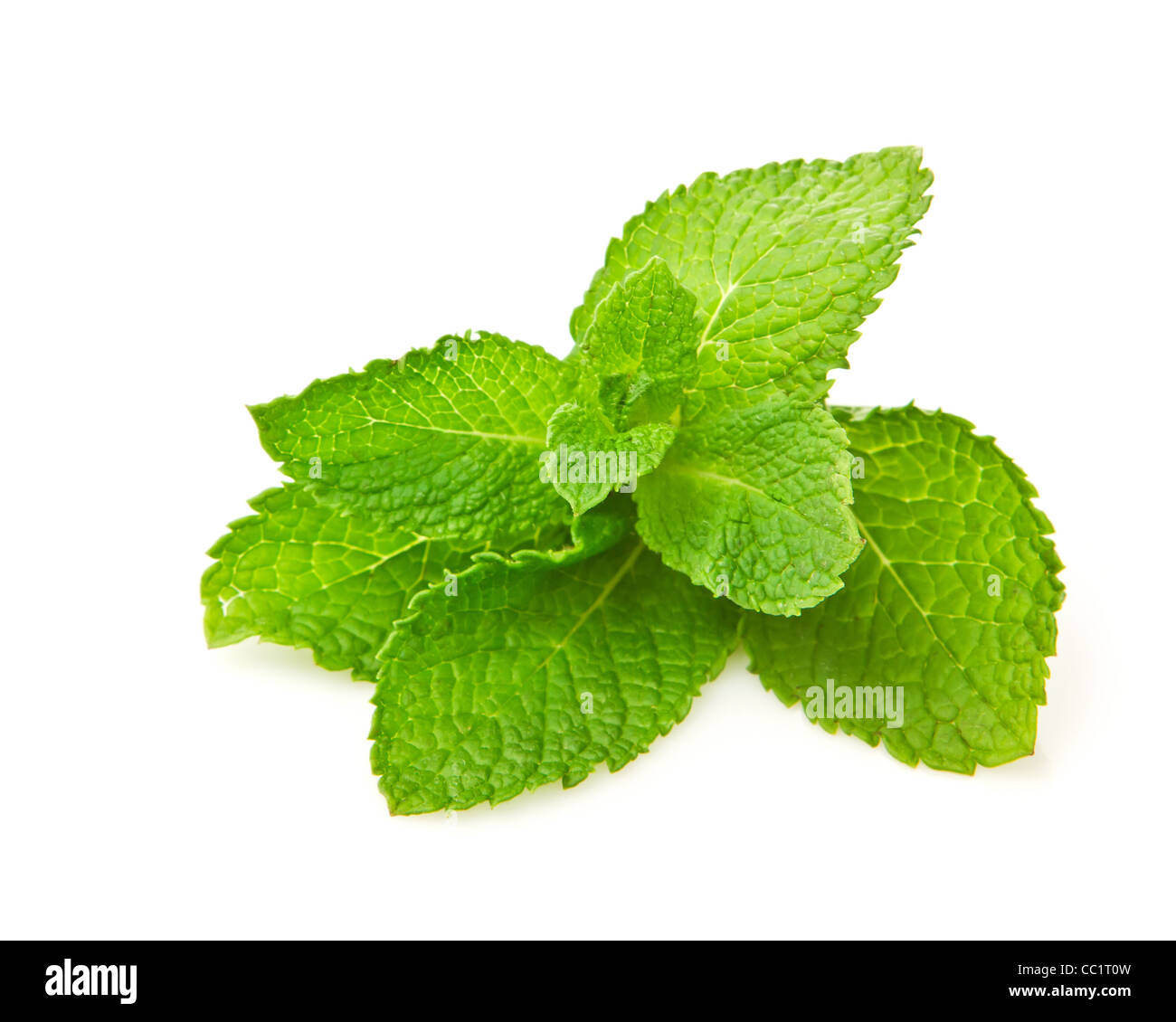 Fresh green mint isolated on white background Stock Photo - Alamy