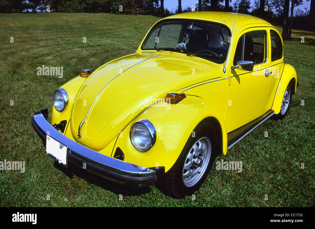 1975 Volkswagen on grass Stock Photo - Alamy