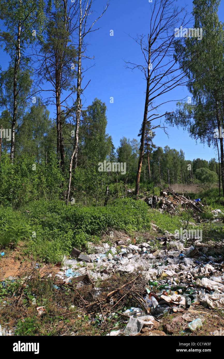 garbage pit in wood Stock Photo - Alamy